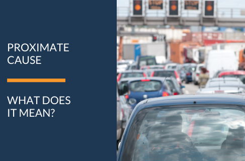 WHAT DOES PROXIMATE CAUSE MEAN? - Wiener and Lambka